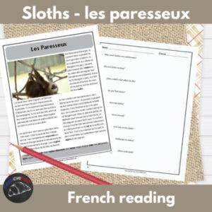 French reading comprehension activity - Sloths | Made By Teachers