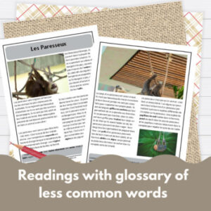 French reading comprehension activity - Sloths - Made By Teachers