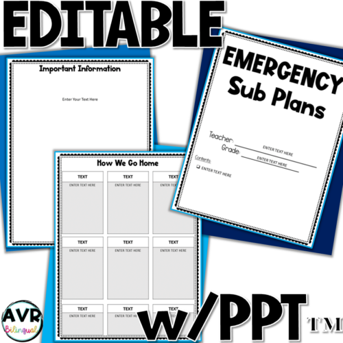 Emergency Sub Plans | Winter Theme | No Prep | Substitute Plans ...