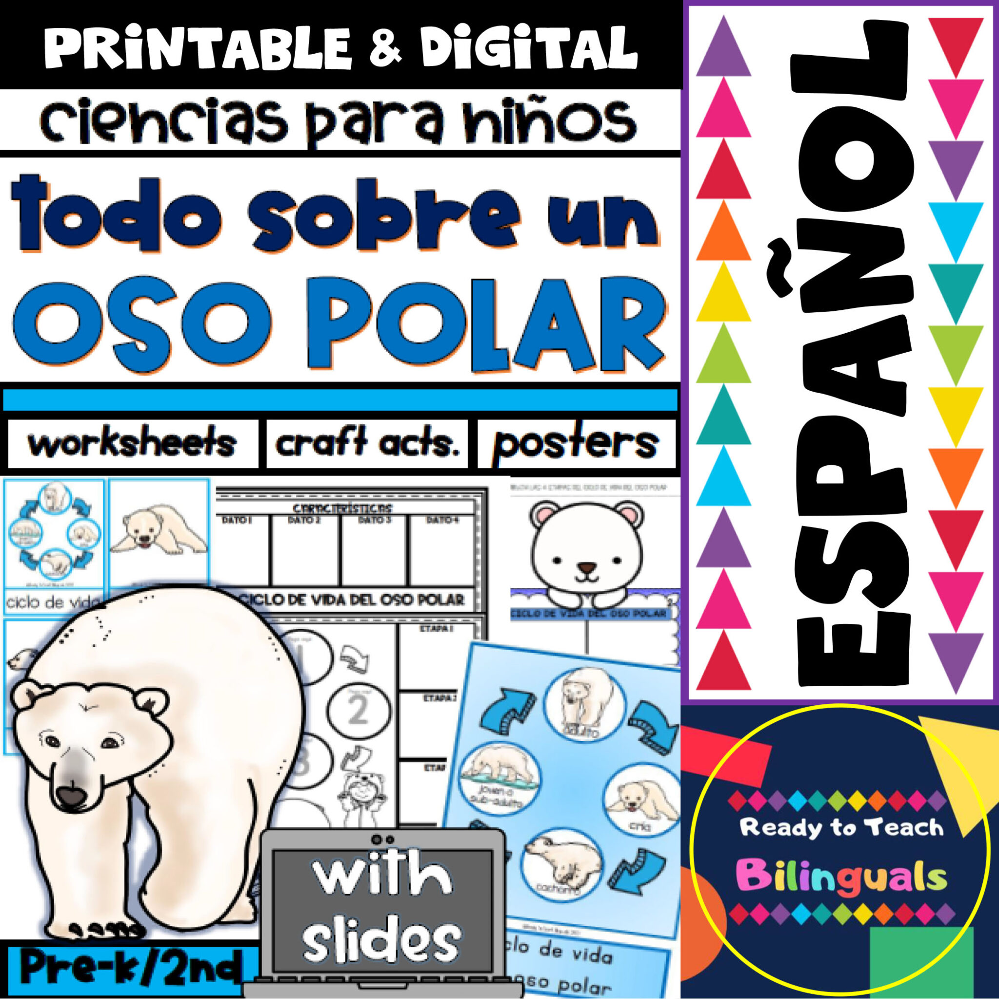 All about Polar Bears in Spanish - Ciencias para Niños - (Printables ...