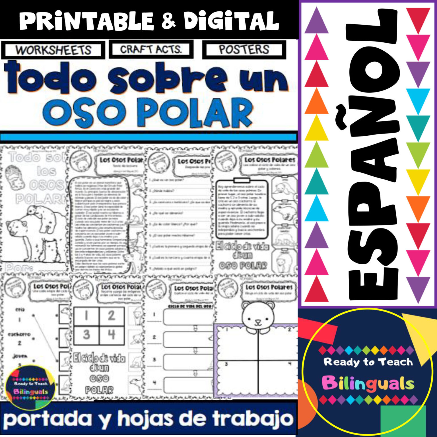 All about Polar Bears in Spanish - Ciencias para Niños - (Printables ...