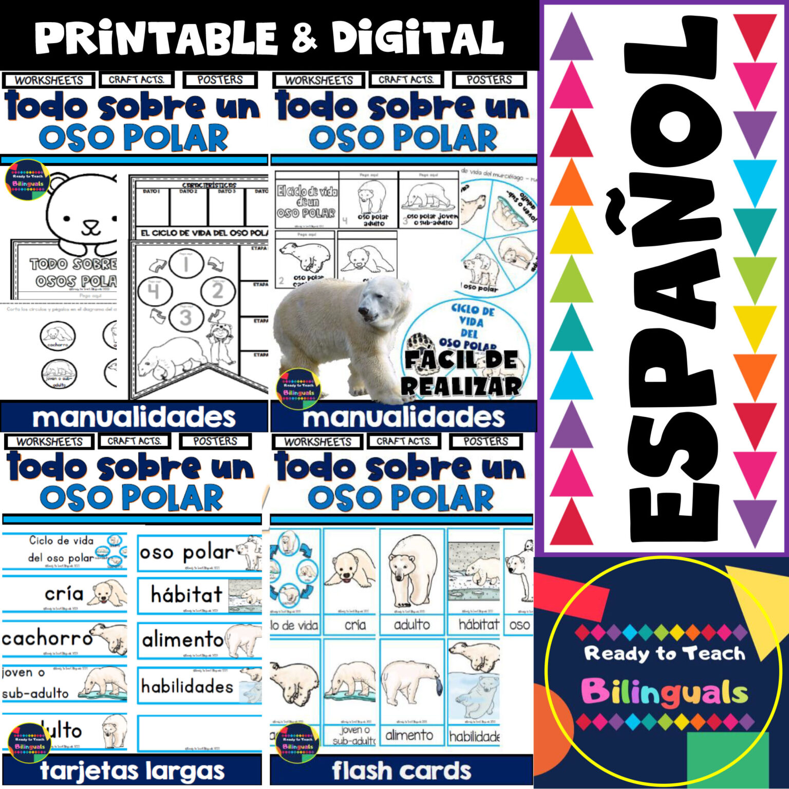 All about Polar Bears in Spanish - Ciencias para Niños - (Printables ...