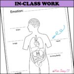 Interoception Curriculum 5 Day Guide | Made By Teachers