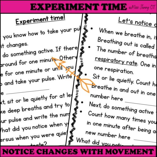 Interoception Activities for Self Regulation | Made By Teachers