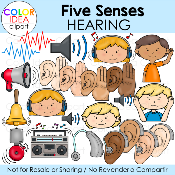 Five Senses - Hearing | Made By Teachers