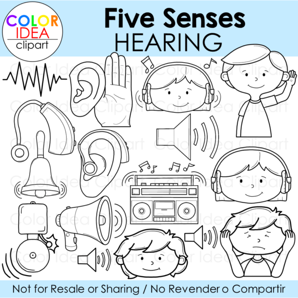 Five Senses - Hearing | Made By Teachers