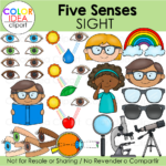 Five Senses - Sight - Made By Teachers