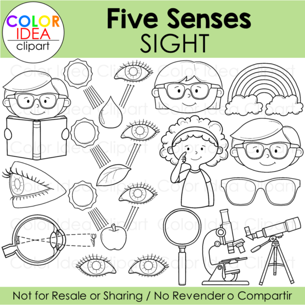 Five Senses - Sight | Made By Teachers