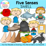 Five Senses - Smell | Made By Teachers