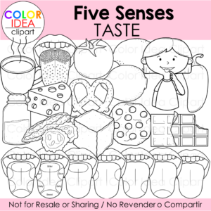 Five Senses - Taste | Made By Teachers