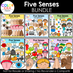 Five Senses Bundle | Made By Teachers