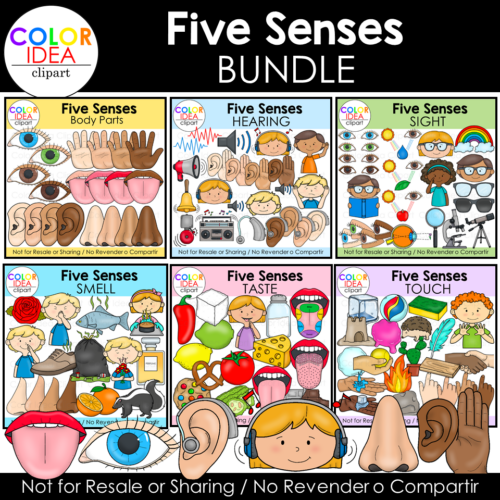Five Senses Bundle | Made By Teachers