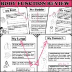 Interoception Self Regulation Activities Whole Body Workbook | Made By ...