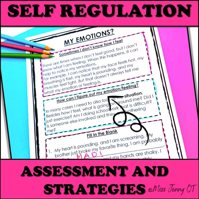 Self Regulation Assessment and Strategies - Made By Teachers