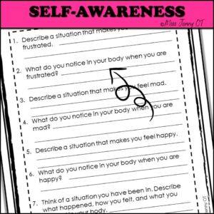 Self Regulation Assessment and Strategies | Made By Teachers