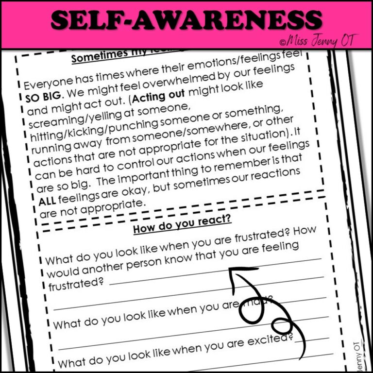 Self Regulation Assessment and Strategies | Made By Teachers