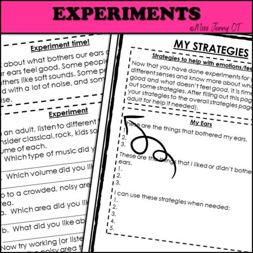 Self Regulation Assessment and Strategies | Made By Teachers