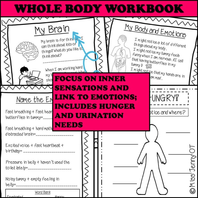 Interoception and Self Regulation Activities Bundle | Made By Teachers