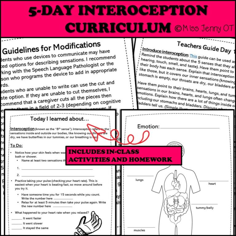 Interoception and Self Regulation Activities Bundle | Made By Teachers