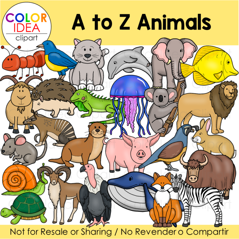 A to Z Animals | Made By Teachers