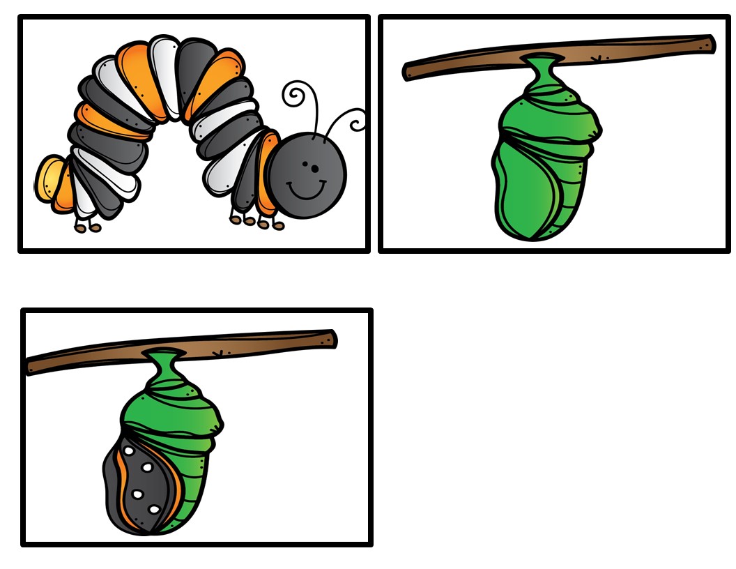 Little Caterpillar {Pocket Chart Poem with Student Books} | Made By ...