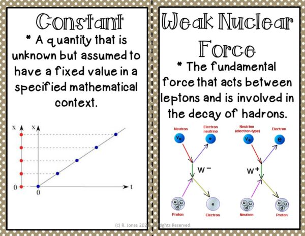 Word Wall Vocabulary Posters for All PHYSICS Units HIGH SCHOOL 137 ...