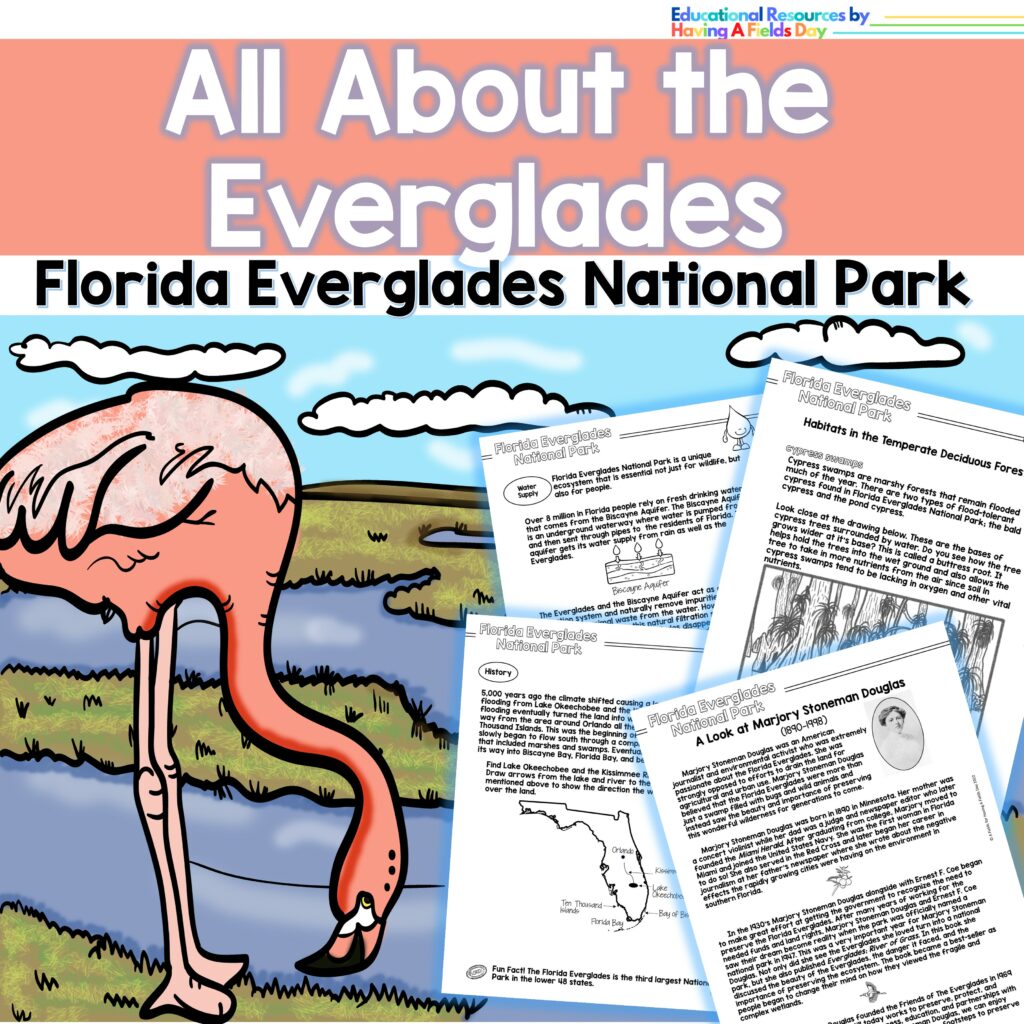 All About the Everglades- Florida Everglades National Park | Made By ...