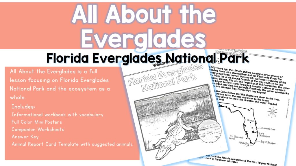 All About the Everglades- Florida Everglades National Park | Made By ...