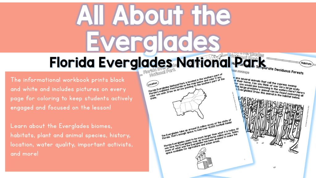 All About the Everglades- Florida Everglades National Park | Made By ...