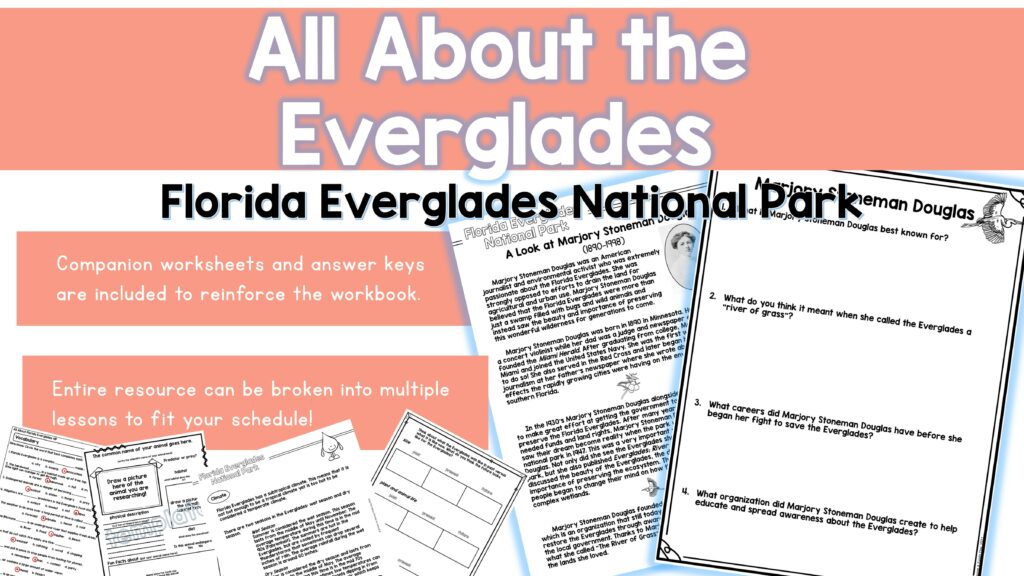 All About the Everglades- Florida Everglades National Park | Made By ...