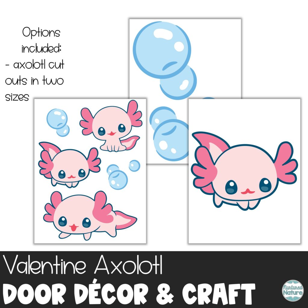Valentine’s Day Door Display - Axolotl Bulletin Board with Editable ...