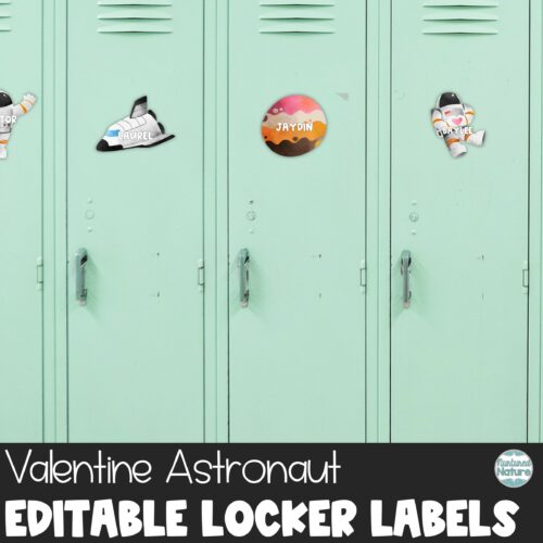 Astronaut Locker Labels - Editable Cubby Tags - Valentine’s Day ...