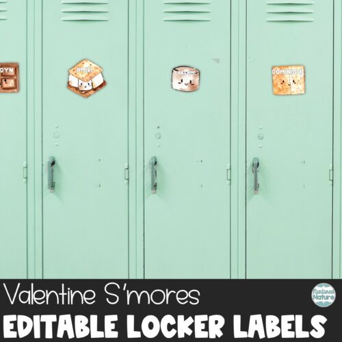 Valentine’s Day Locker Labels - Editable Cubby Tags - S'mores Theme ...