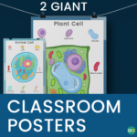 Complete Plant and Animal Cell Worksheets and Activity Cards | Made By ...