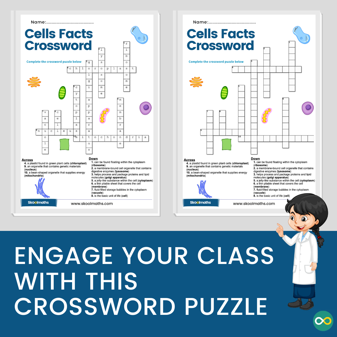 Complete Plant and Animal Cell Worksheets and Activity Cards | Made By ...