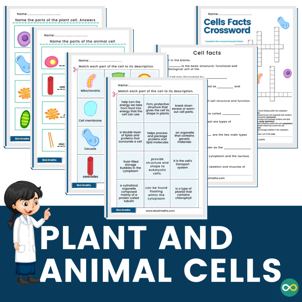 Complete Plant and Animal Cell Worksheets and Activity Cards | Made By ...