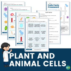 Complete Plant and Animal Cell Worksheets and Activity Cards | Made By ...