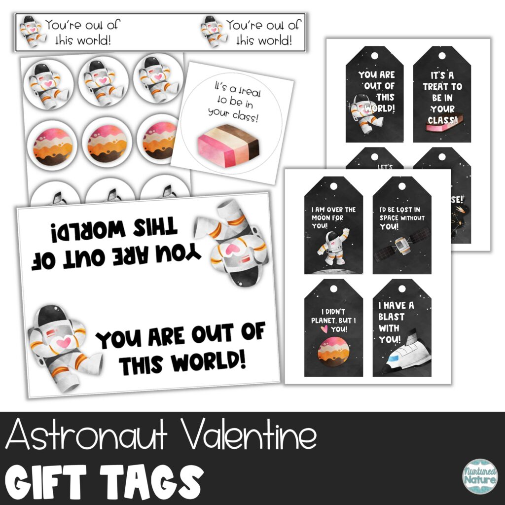Valentine’s Day Gift Tags for Student Gifts from Teacher - Astronaut ...