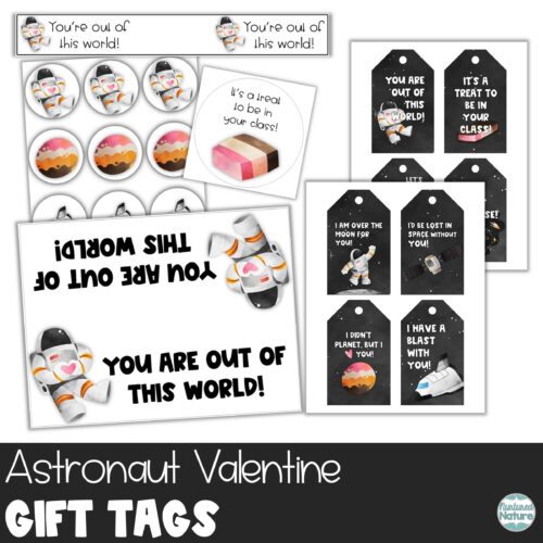 Valentine’s Day Gift Tags for Student Gifts from Teacher - Astronaut ...