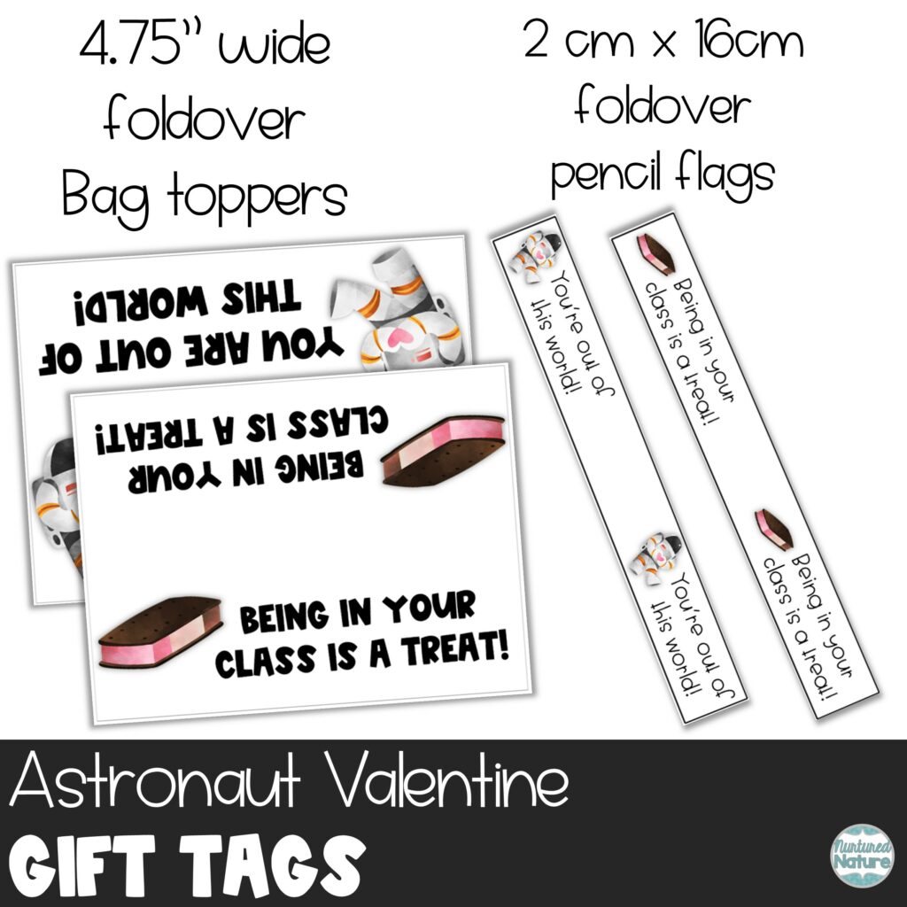 Valentine’s Day Gift Tags for Student Gifts from Teacher - Astronaut ...