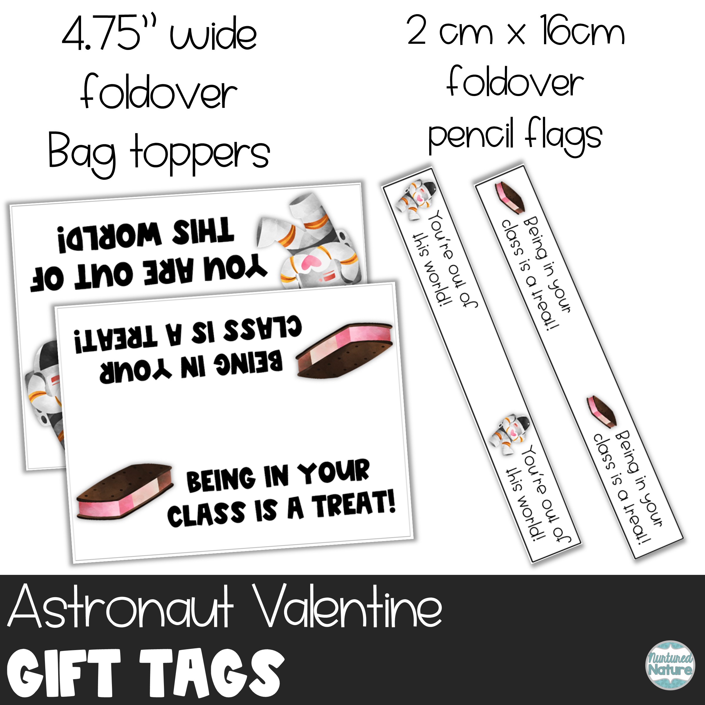 Valentine’s Day Gift Tags for Student Gifts from Teacher - Astronaut ...