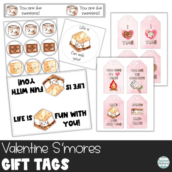 Valentine’s Day Gift Tags for Student Gifts from Teacher - S'mores ...