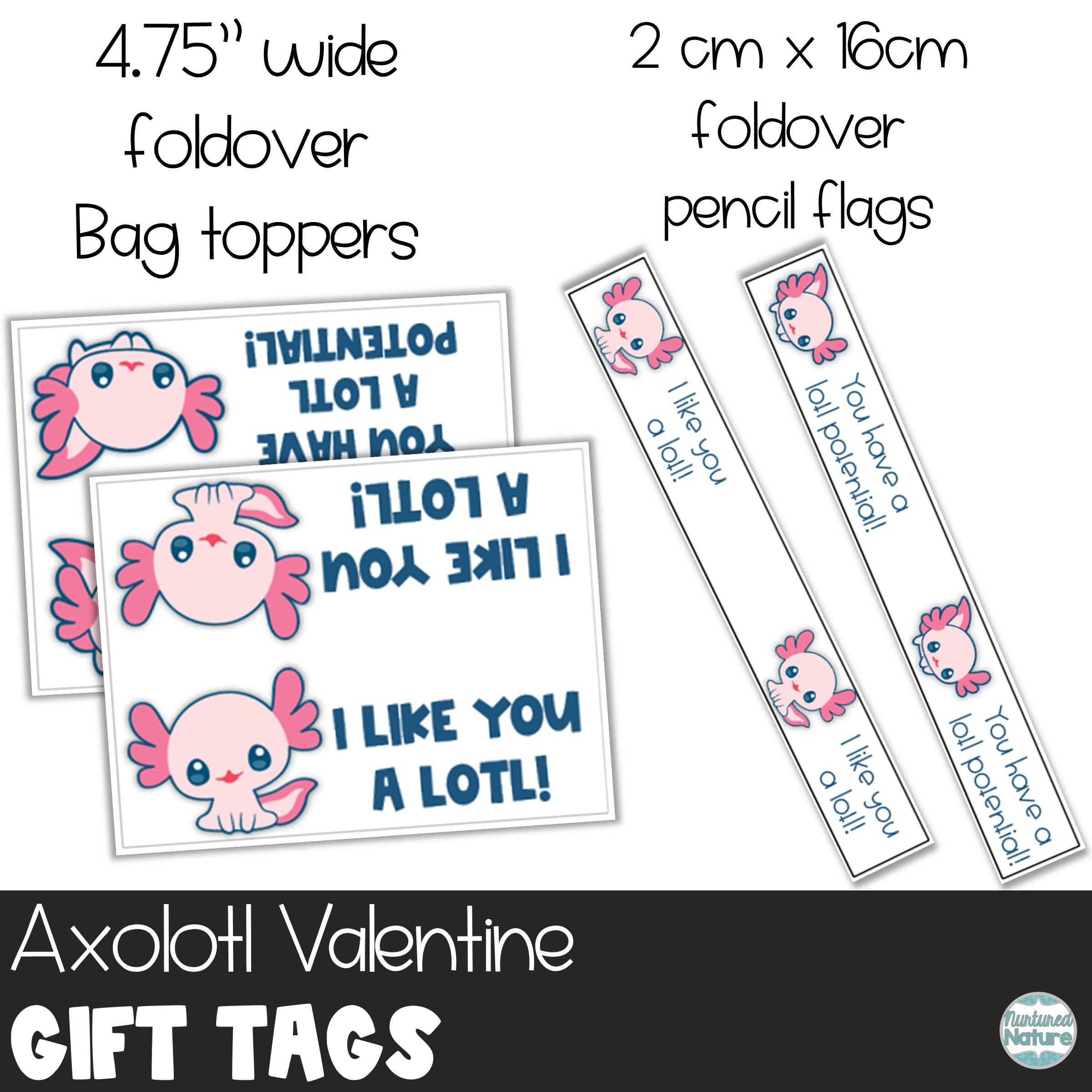 Valentine’s Day Gift Tags for Student Gifts from Teacher - Axolotl ...