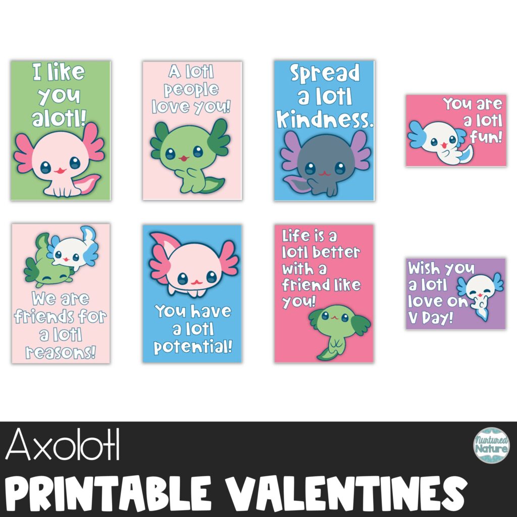 Axolotl Valentine’s Day Printable Cards for Kids | Made By Teachers