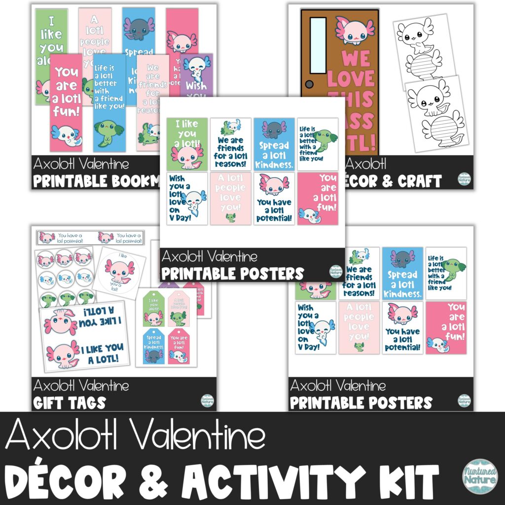 Axolotl Valentine’s Day Party Decor and Activity Kit - Bulletin Board ...