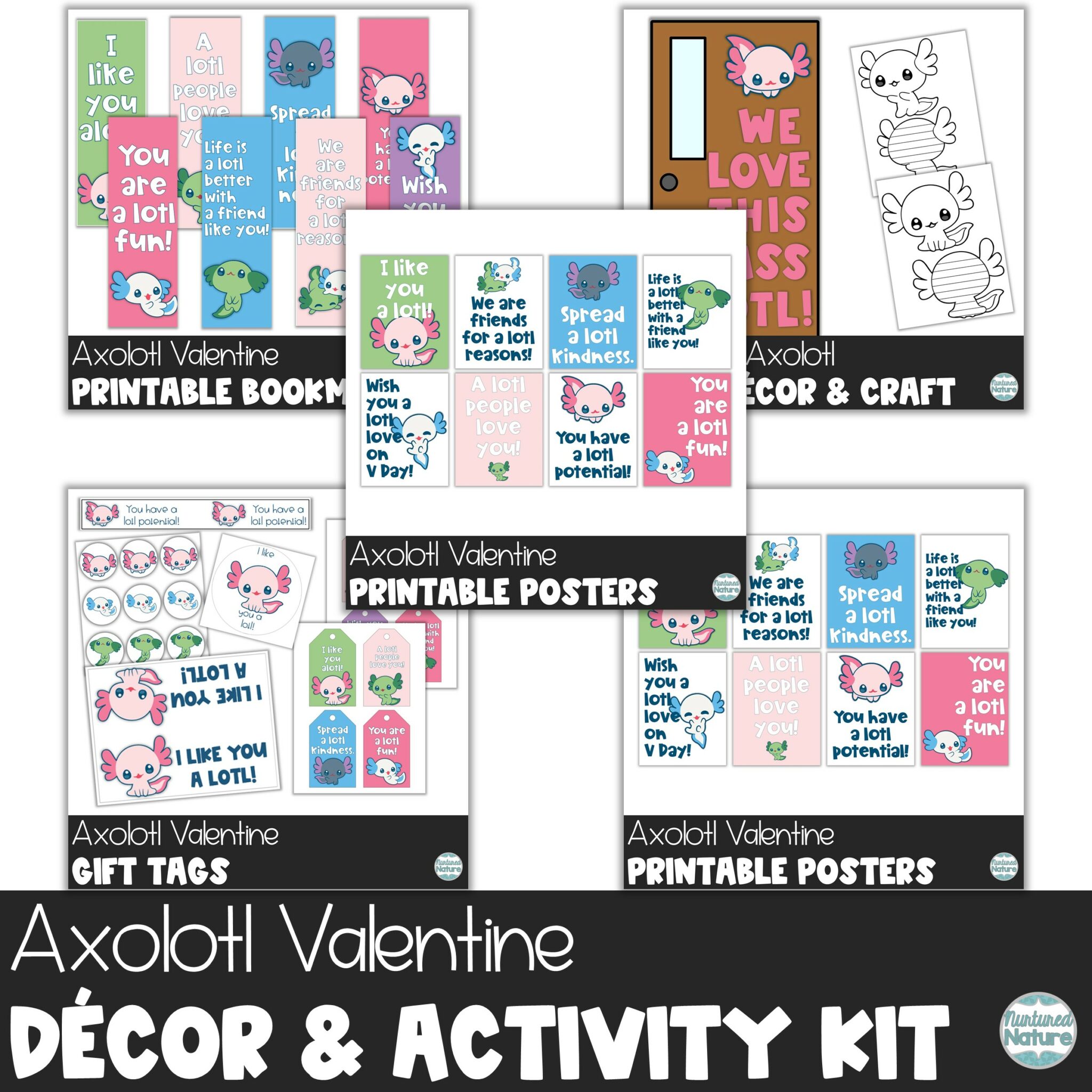 Axolotl Valentine’s Day Party Decor and Activity Kit - Bulletin Board ...