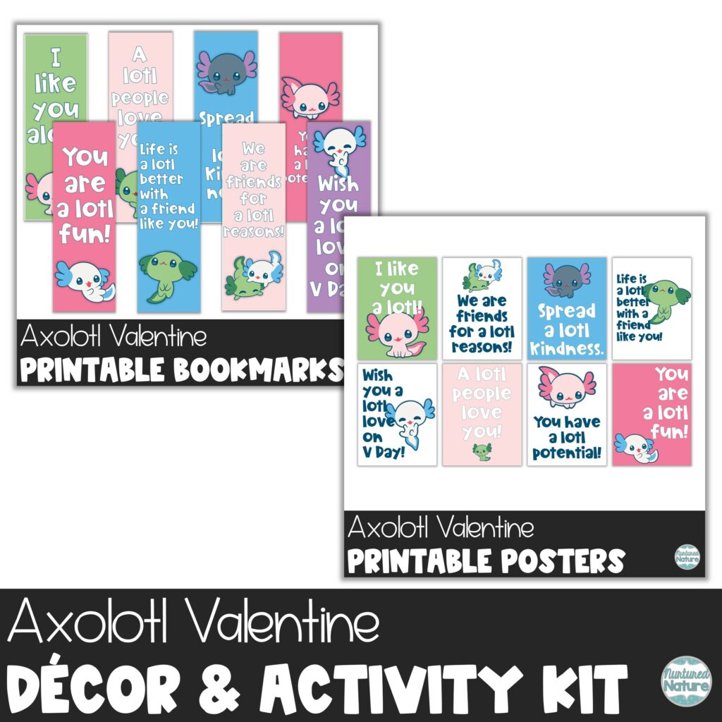 Axolotl Valentine’s Day Party Decor and Activity Kit - Bulletin Board ...