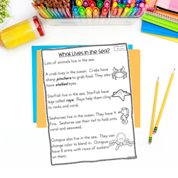 Reading Comprehension Passages and Questions First Grade | Made By Teachers