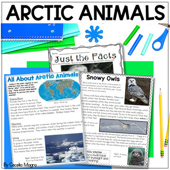 Arctic Animals Nonfiction Reading Passages and Lesson Plans - Made By ...