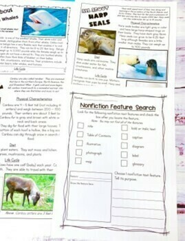 Arctic Animals Nonfiction Reading Passages and Lesson Plans - Made By ...